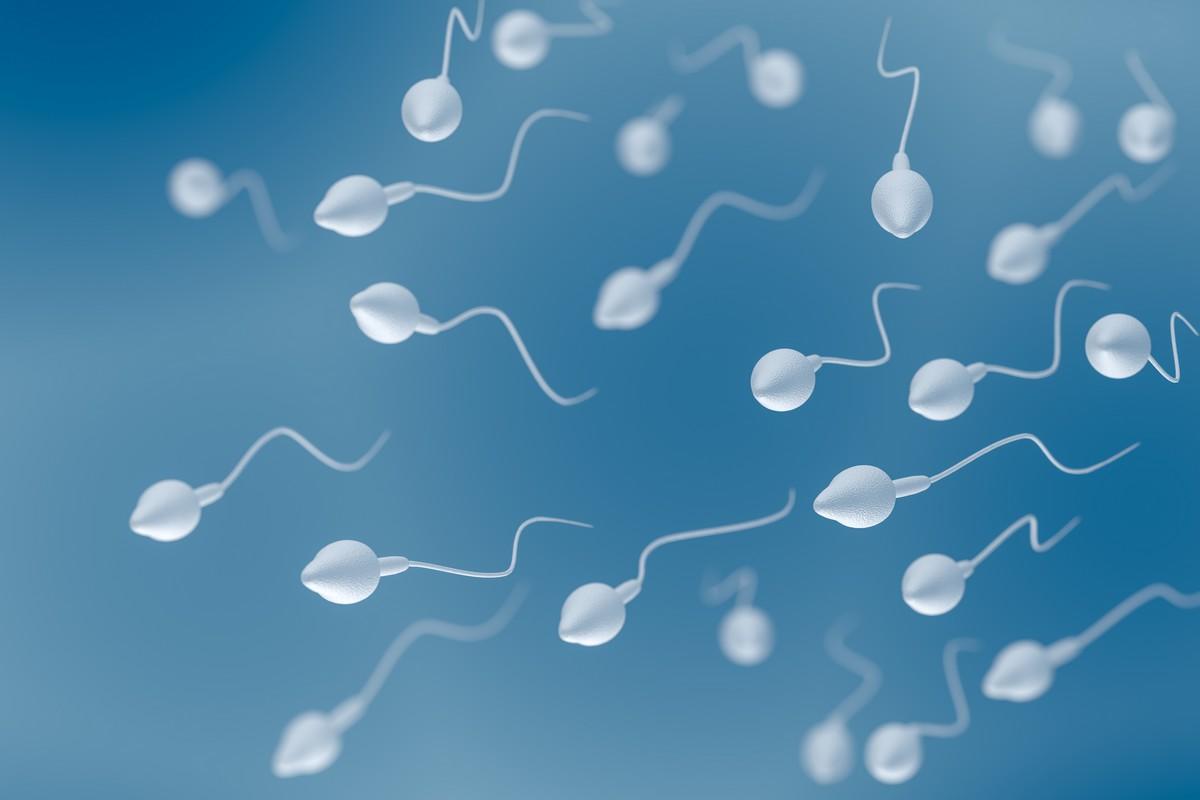Pourquoi Le Sperme Contient De Moins En Moins De Spermatozoïdes