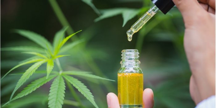Le top 6 des huiles essentielles à avoir chez soi Le top 6 des huiles essentielles à avoir chez soi